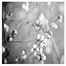 index [clement-w.github.io]